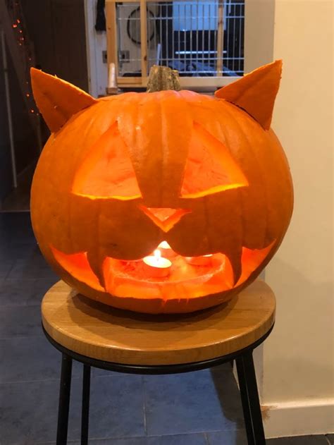 Cat Pumpkin Inspo 😼 Halloween Pumpkin Carving Stencils Cute Pumpkin Carving Creative Pumpkin