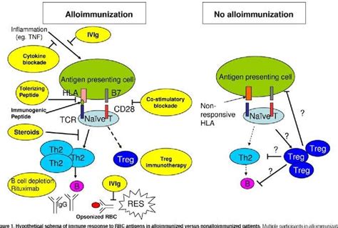 Dr Rashmi Sood On Linkedin Advancements In Immunohematology