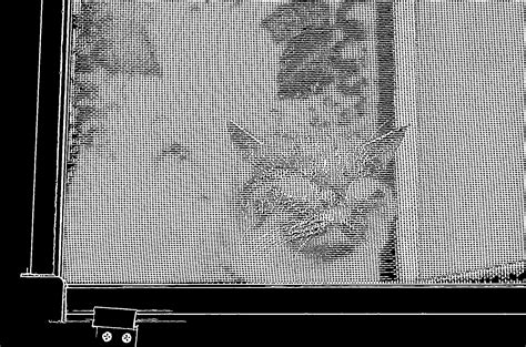 Image Processing How Do I Remove Grid From This Photo Mathematica Stack Exchange