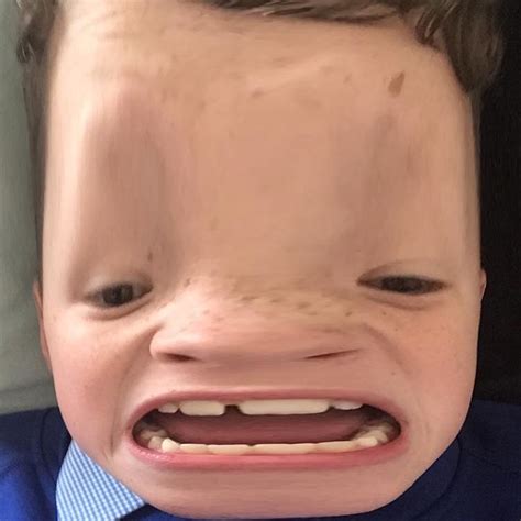 Callum Beales Callumbyt Tiktok Analytics Profile Videos