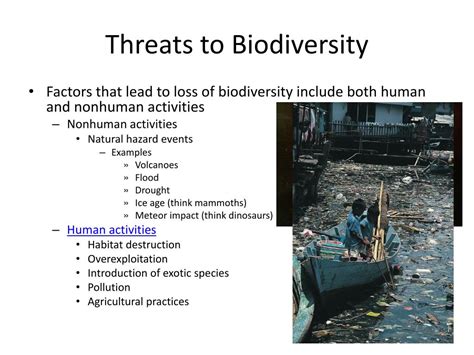 Ppt Threats To Biodiversity Powerpoint Presentation Free Download