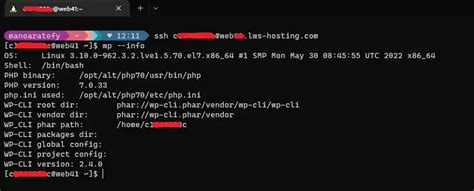 Comment utiliser WP CLI pour gérer votre instance WordPress sur cPanel Hebergement