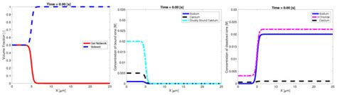 Gels Special Issue Polyelectrolyte Gels
