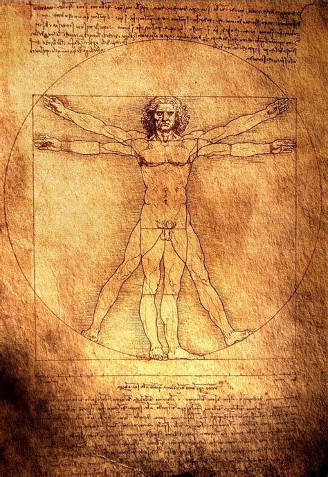 Vitruvian Man Wall Print Poster Decor 32x24