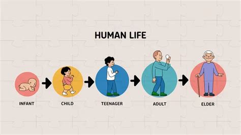 Stepbystep Learning Lifecycle Diagrams Ideogram Prompt Promptbase
