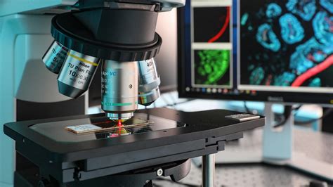 Glass Slides That Stand To Revolutionize Fluorescence Microscopy Epfl