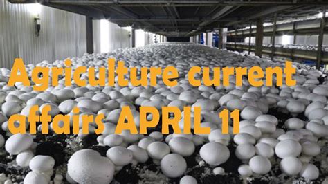 Agriculture Current Affairs April 11 Youtube