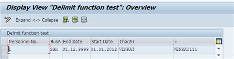 An Sap Consultant Sap Abap Standard Delimit Function In Table Maintenance