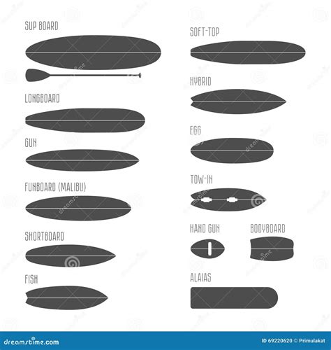 Set Of Surfboard Types Silhouettes In Scale Vector Illustration