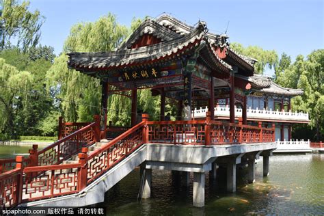 中共中央党校夏日风光美如画