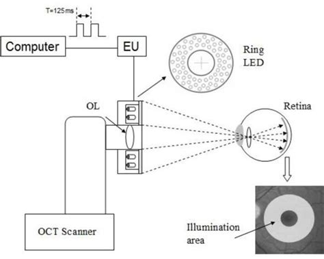 Experiment Setup Of Light Stimulation With Ring LED Array EU Download Scientific Diagram