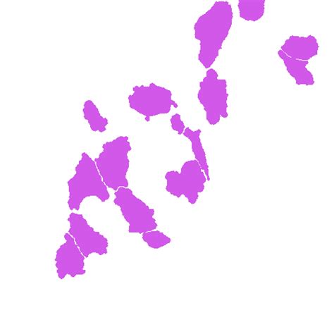 Annotated Quantitative Phase Microscopy Cell Dataset Ninja