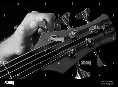 Bass Guitar Line Bassline Guitars String Strings Player Play Playing