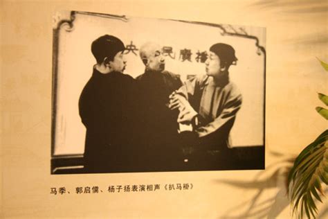 杨紫阳图册 360百科