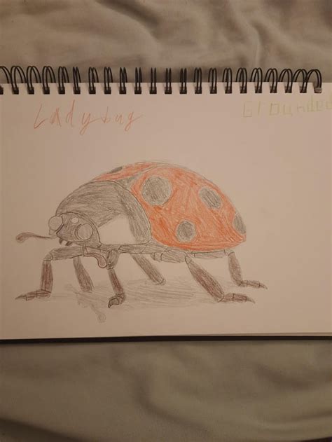A Collection Of All The Grounded Fan Art Ive Done So Far Rgroundedgame