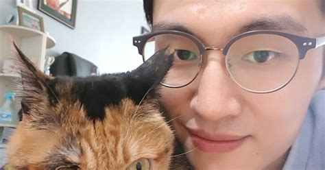 10년차 집사이자 수의사가 말하는 고양이와 사는 법