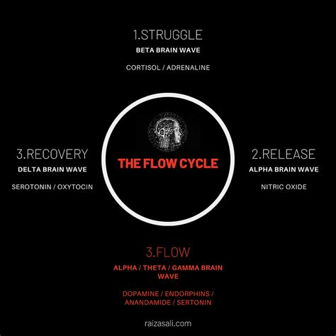 4 Stages Of The Flow Cycle The Scientific Guide To Finding Consistent