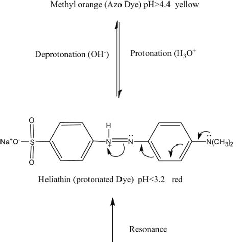 Methyl Orange And Its Species In Chemical Equilibrium Based On The