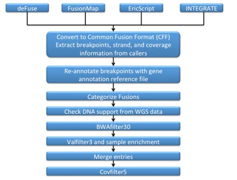 Workflow Of The Fusion Detection Pipeline Used To Identify Fusions From