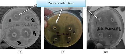 Combined Effects Of Antimicrobial Compounds Of Lab Isolates Against A