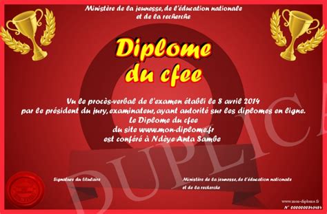 Diplome Du Cfee