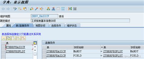 Abap 利用sap视图簇开发多配置表维护功能 Se54sm34sap Se54 Csdn博客
