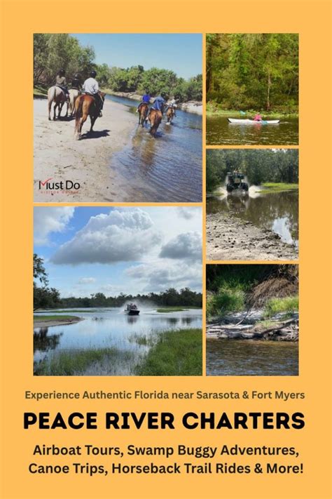 Explore Floridas Wild Side With Upriver Adventures