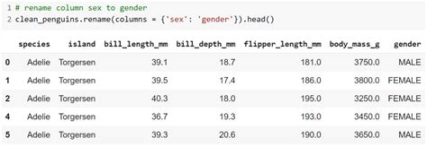 Pandas Dataframe Datarockie