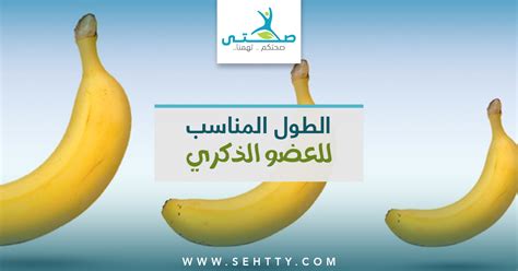 ما هو الطول المناسب للعضو الذكري في سن 16 حتّى 25 ؟ صحتي
