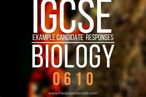 Igcse Level Computer Science 0478 Past Papers Inside