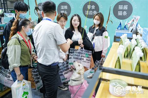她来了他来了！广州潮流宠物展来了！2023广州宠物博览会 知乎