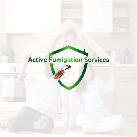 Cockroaches Come Out At Night To Feed On Virtually Any Available Food Source During The Day