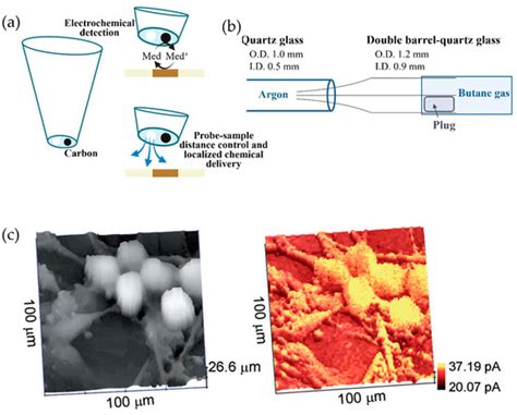 Biosensors Special Issue Advanced Nanomaterials For Electrochemical