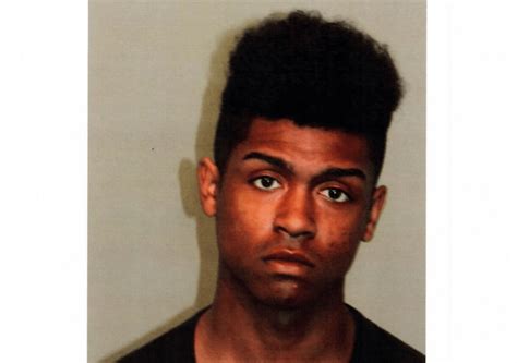 Police Stop Car With Brake Lights Out Find Dozens Of Charges For