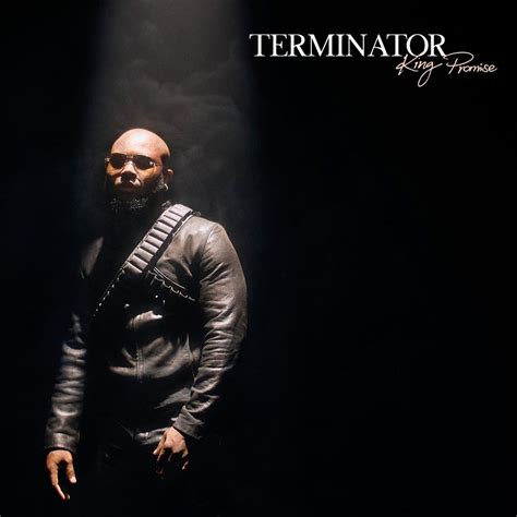 Terminator By King Promise Listen On Audiomack