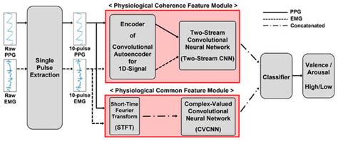 Physiological Signal Based Real Time Emotion Recognition Based On