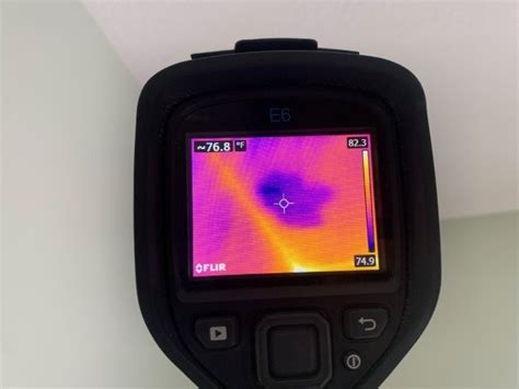 Solved Does Freezing Mold Kill It