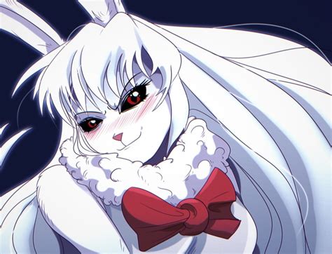 One Piece Carrot Sulong Hd Wallpaper At Gary Norris Blog