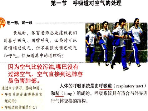 最新审定新人教版七年级初一生物下册第一节呼吸道对空气的处理2012版课件word文档在线阅读与下载无忧文档