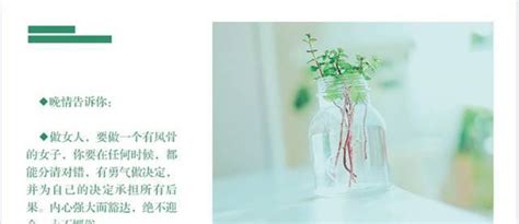 做一个有风骨的女子：不迎合，不媚俗
