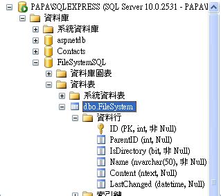 KingKong Bruce記事 Microsoft Visual Web Developer 2010 Express with SQL