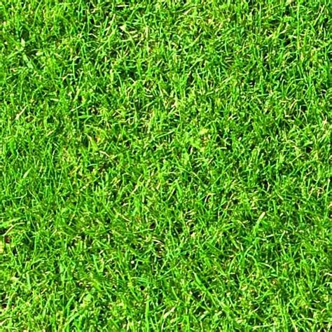 Material Rumput Sketchup 49 Koleksi Gambar