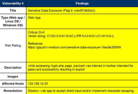 github niksouy penetration test and report