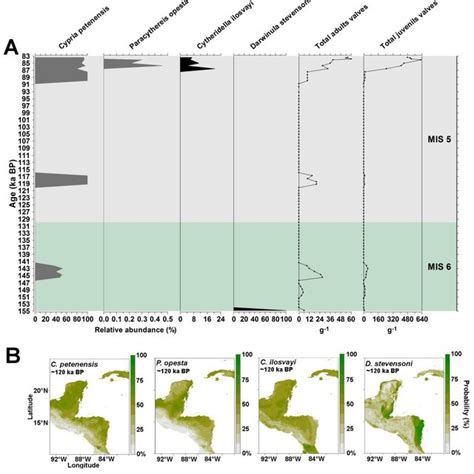 Fossil Record Of The Period 155 83 Ka Bp And Species Niche Modeling