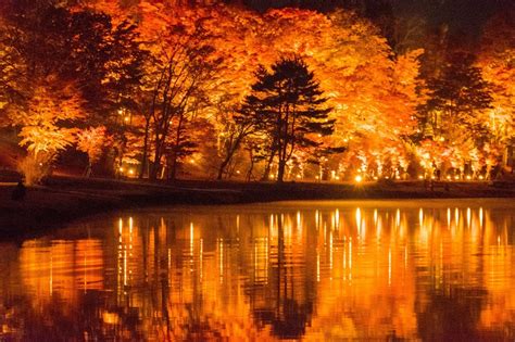 山中湖紅葉まつりの夜景6 by オリジン ID7258665 写真共有サイト PHOTOHITO