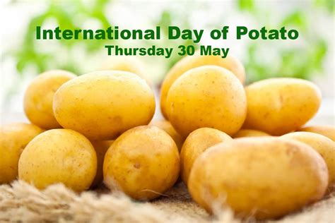 International Day Of Potato Potatoes New Zealand