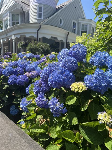 Weekend Getaway To Newport Rhode Island