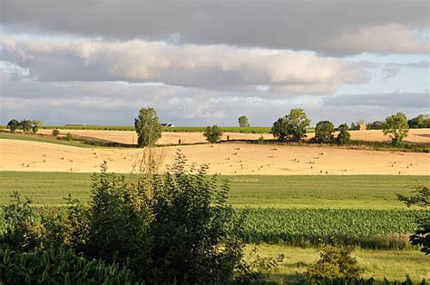 Layon Background Images Hd Pictures And Wallpaper For Free Download