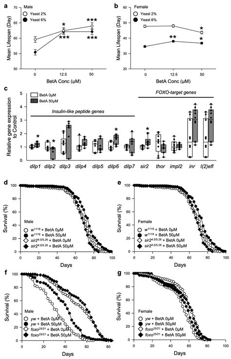Betulinic Acid Increases The Lifespan Of Drosophila Melanogaster Via
