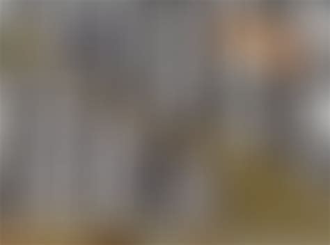 Monogatari Lore Summary R Ilutv